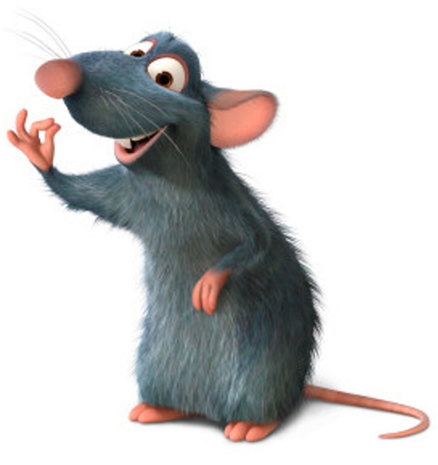 How Many Types of Mice are there in the world?